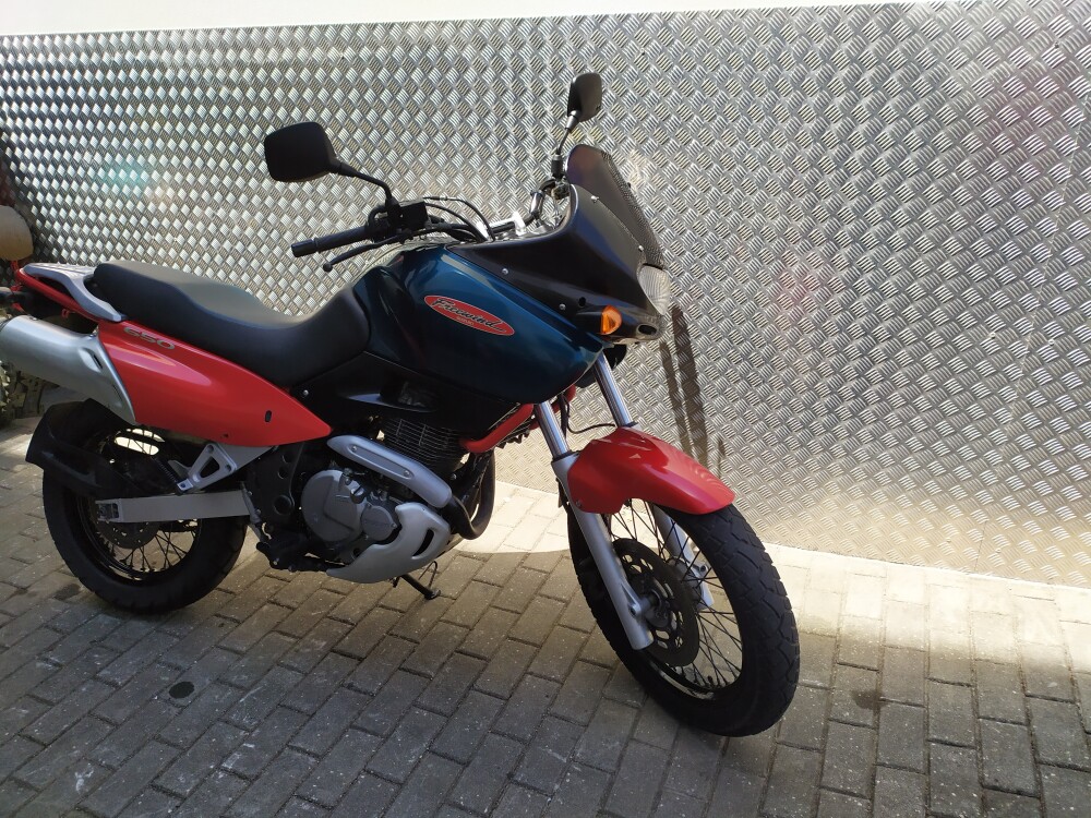 Venda - (Usada) Moto Suzuki XF650 FreeWind 1998 | AutoAds.pt